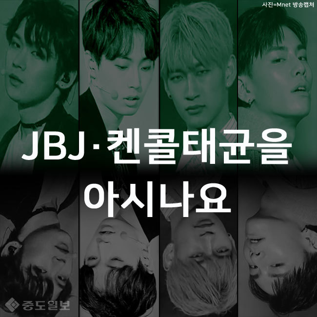 중도일보 - [카드뉴스] JBJ·켄콜태균을 아시나요… “이대로 데뷔해"