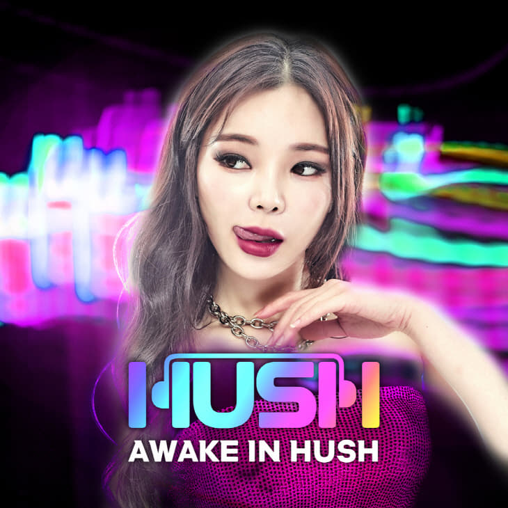 중도일보 - 디제이 허쉬 (DJ HUSH) 첫 싱글 앨범 'Awake In Hush' 발표